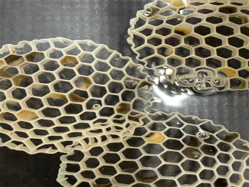 How to Select the Right MBBR Media for Your Project: A Professional ...