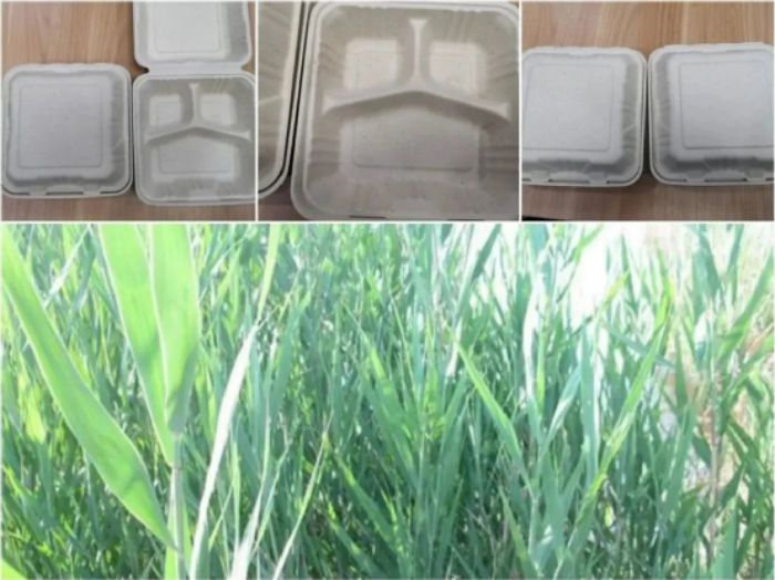 The difference between different pulp molding materials - PANTONE CHEM ...